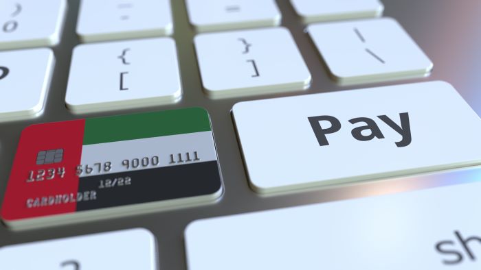 The Best Credit Cards in The Emirates - Ask-Albert